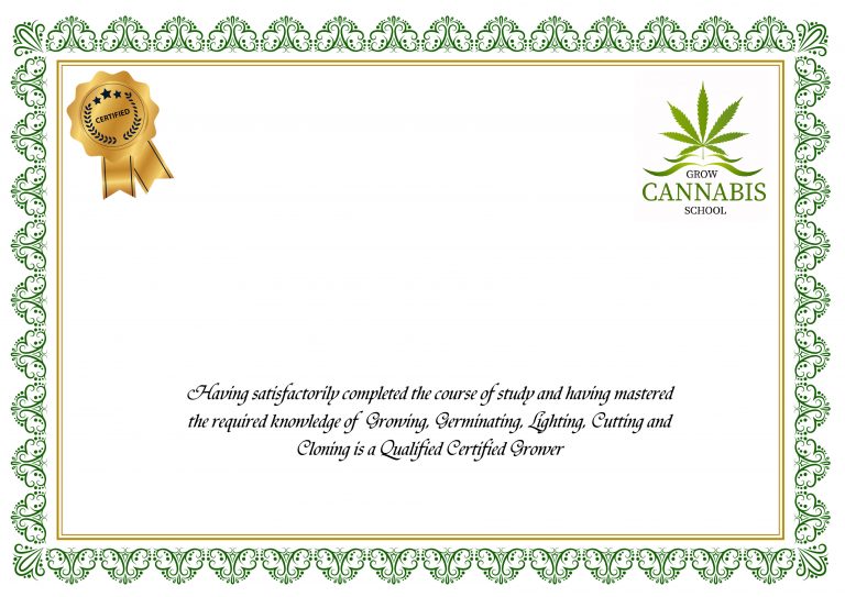 cannabis-school | Marijuana Edibles Course